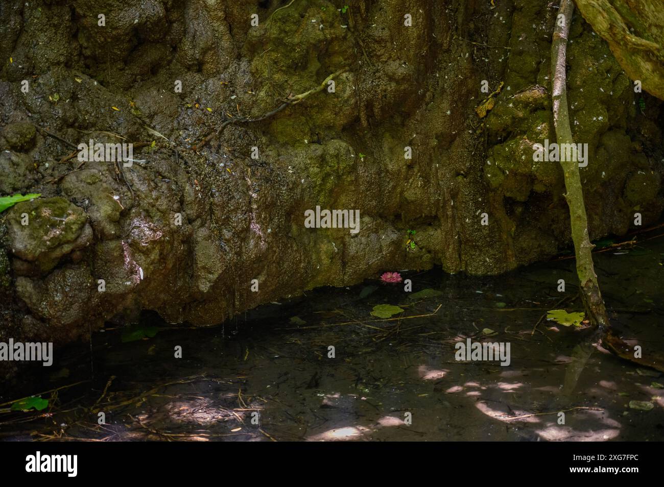 Waterfall falling into a lake. Bath of Aphrodite. Cyprus Stock Photo ...