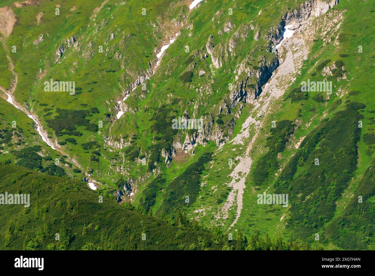 Green covered slope and hills hi-res stock photography and images - Alamy
