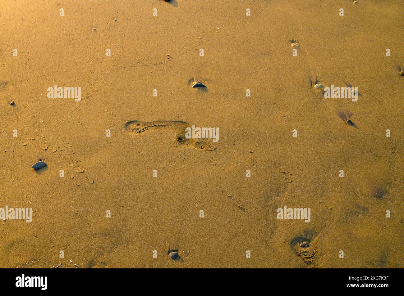 Footsteps leading towards sea at beach Stock Photo - Alamy