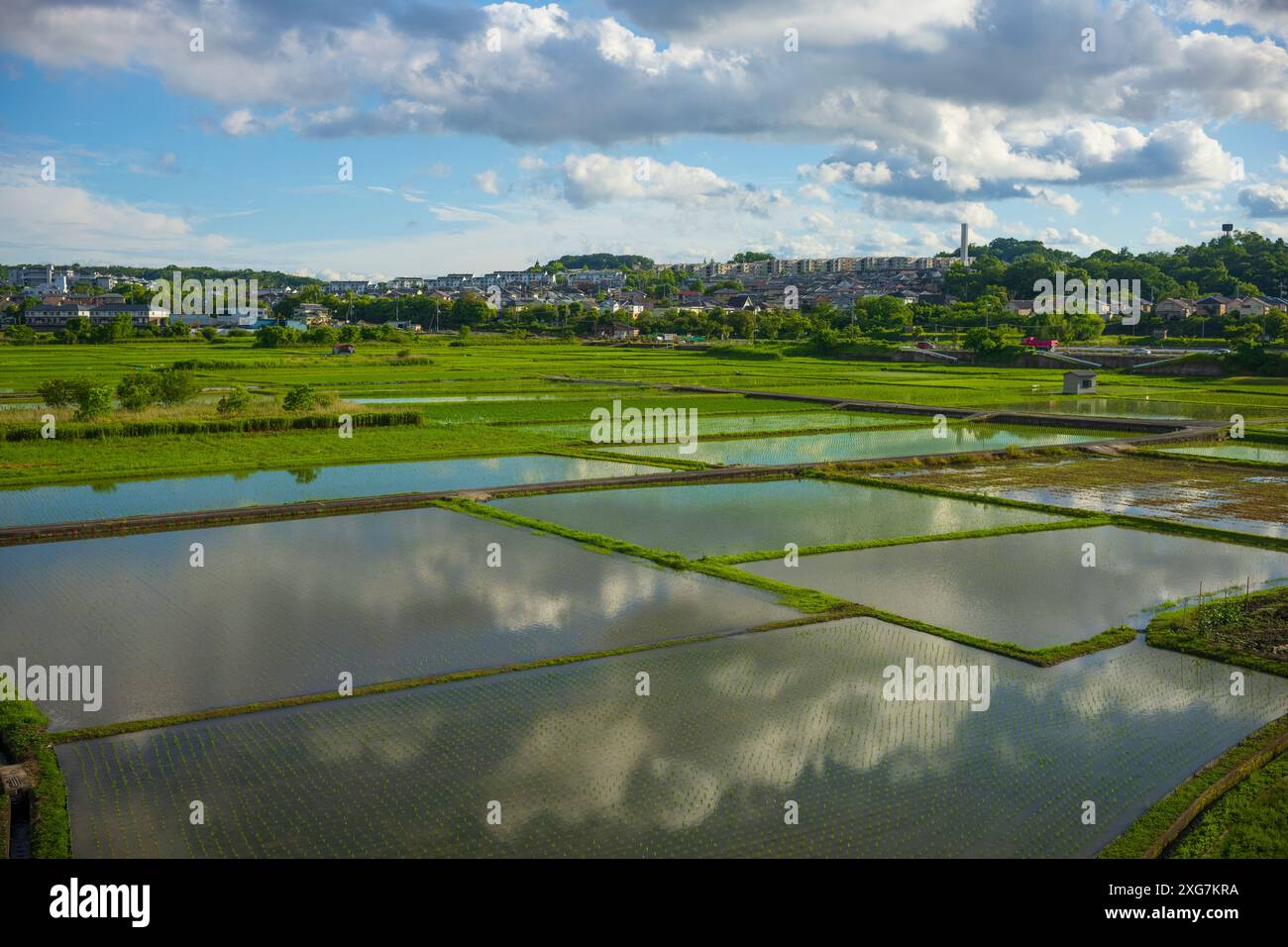 Japanese rice paddy scenery hi-res stock photography and images - Alamy