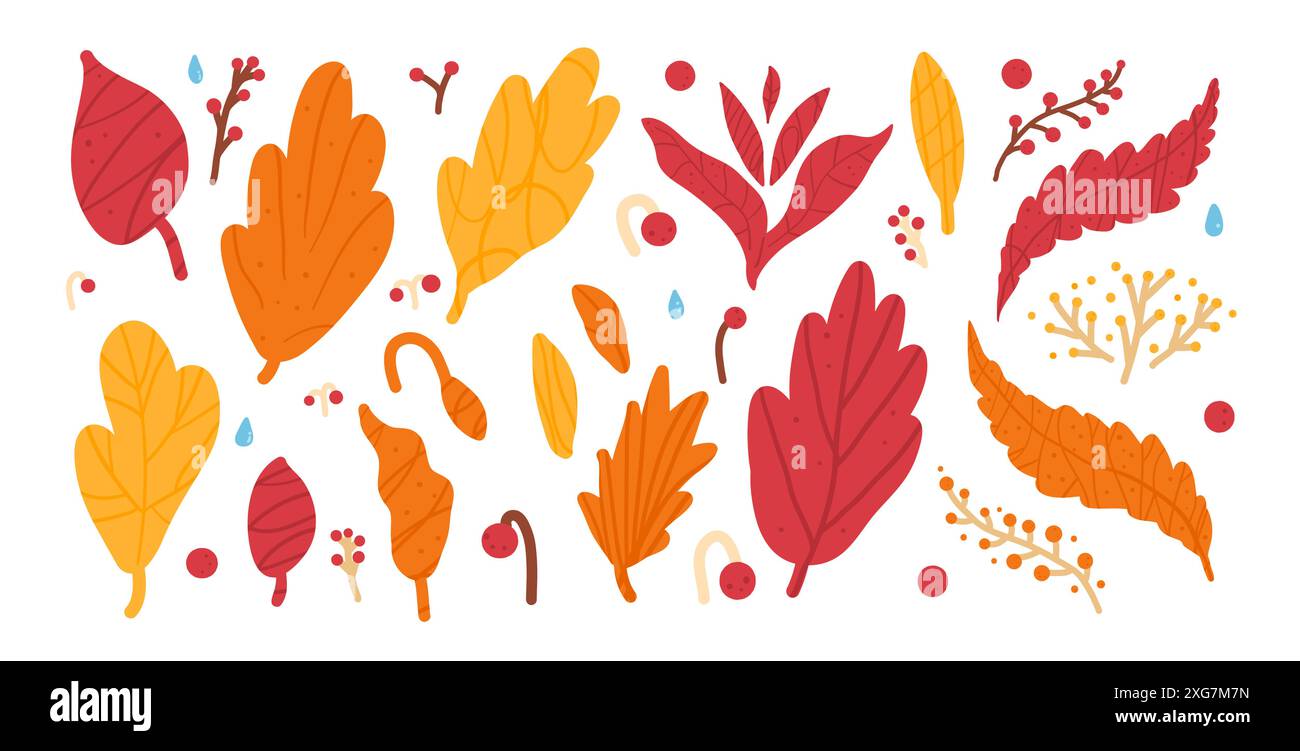 Autumn leaves in warm fall colors set. Textured fall forest elements ...