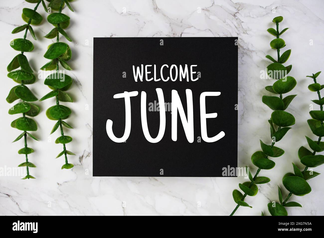 Welcome June text on paper card with eucalyptus leaf decoration top ...