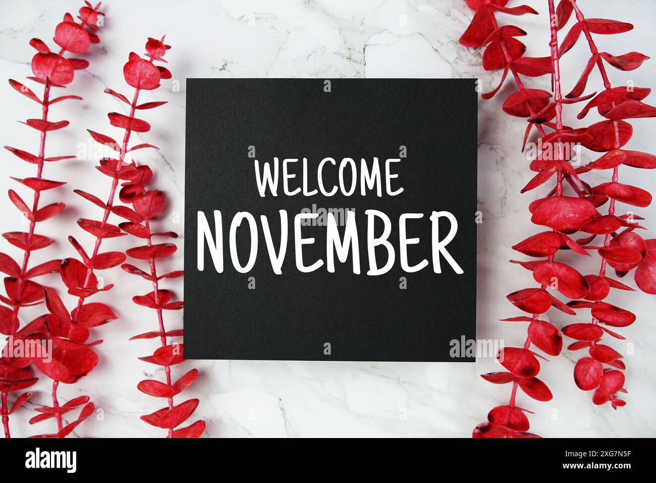 Welcome November text on paper card with red eucalyptus leaf decoration ...