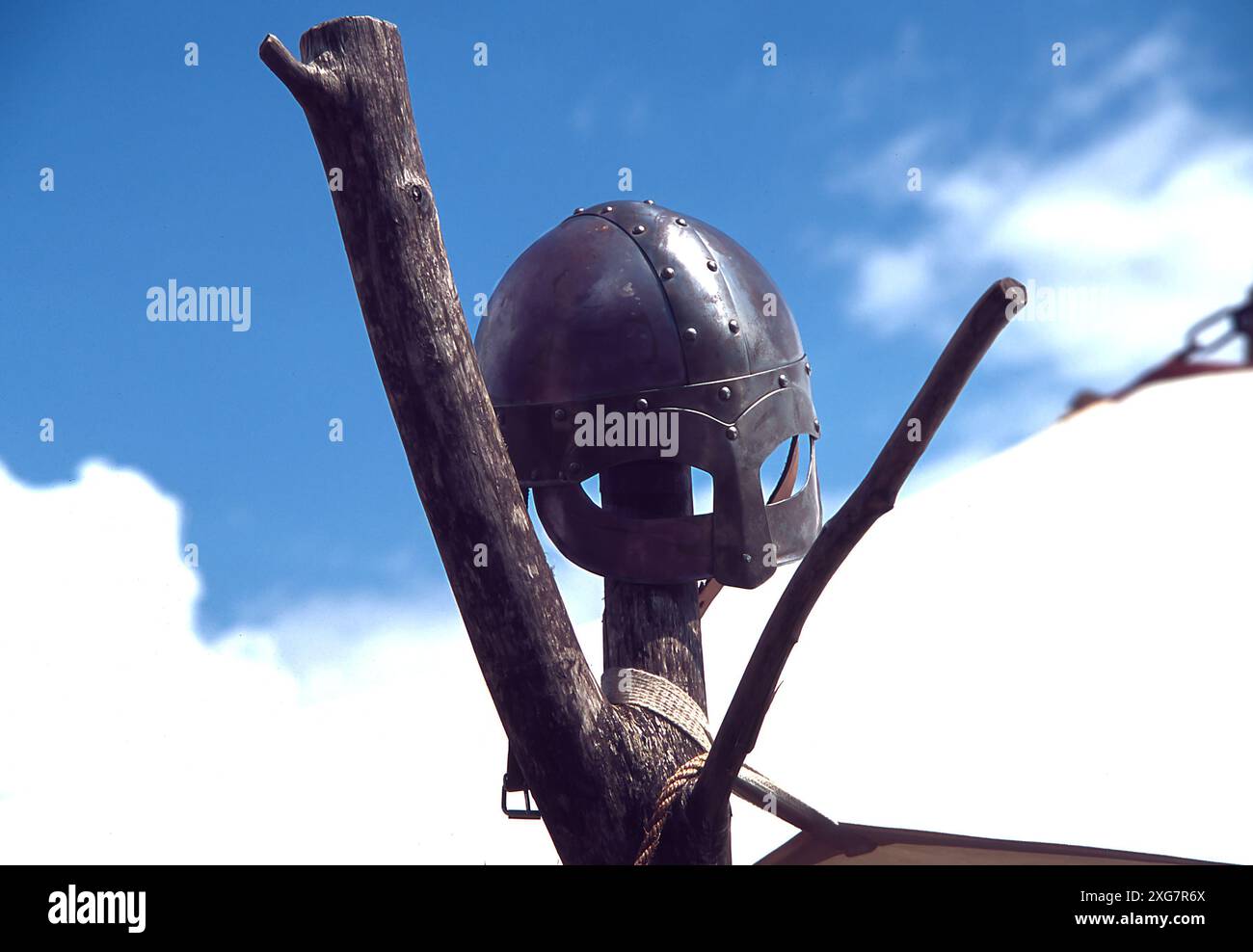 Viking helmet hanging on a old tree with blur sky background Stock ...