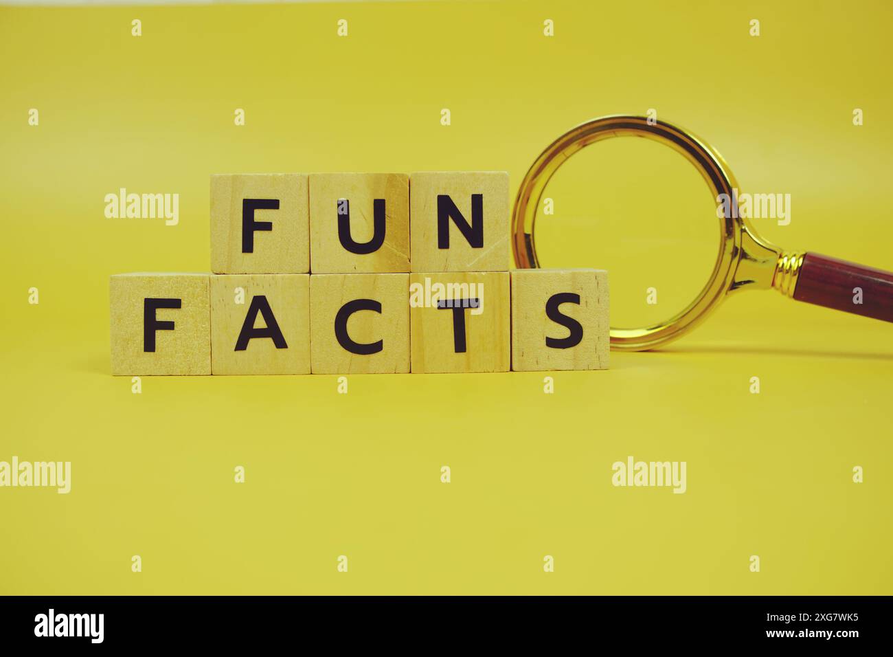 Fun Facts with wooden blocks alphabet letters and Magnifying glass on ...