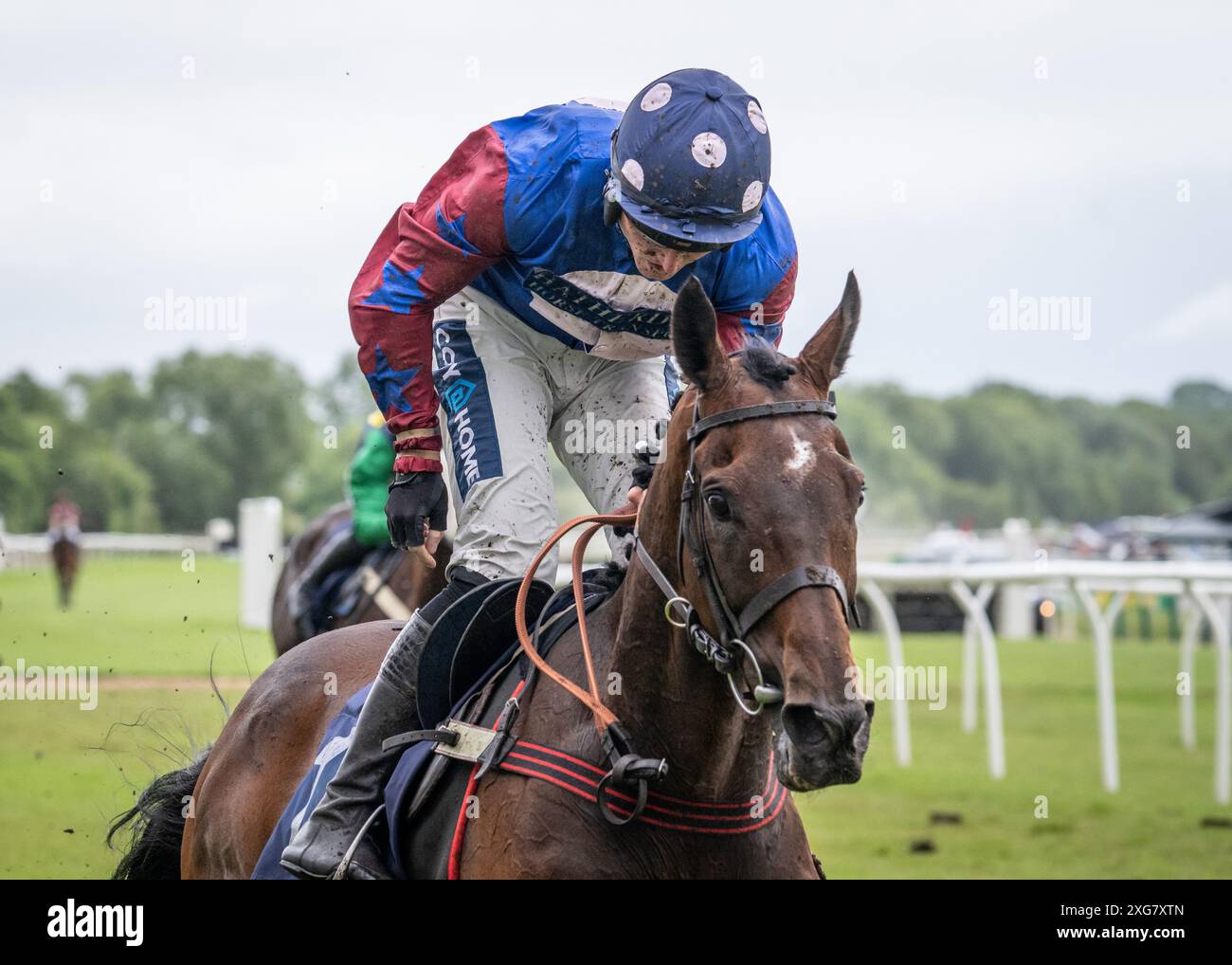 Joe anderson jockey hi-res stock photography and images - Alamy