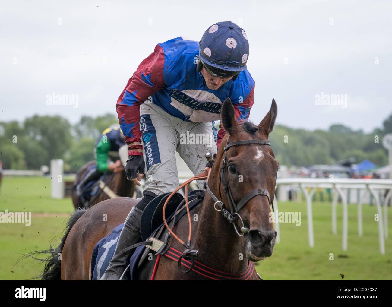 Joe Anderson - National Hunt Jockey Stock Photo - Alamy
