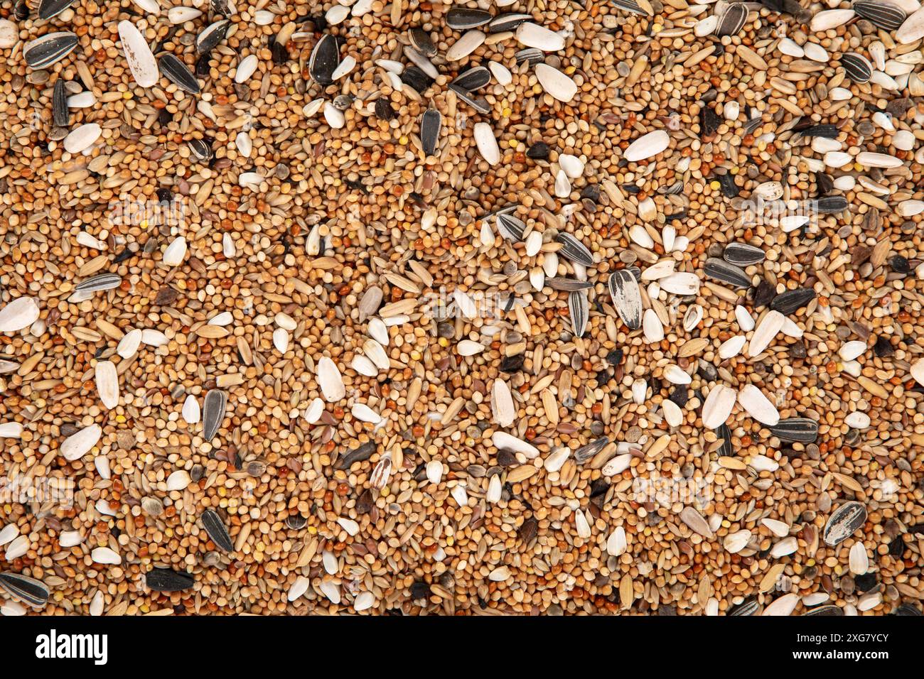 Variety of bird seed is laying on a surface, creating a full frame ...