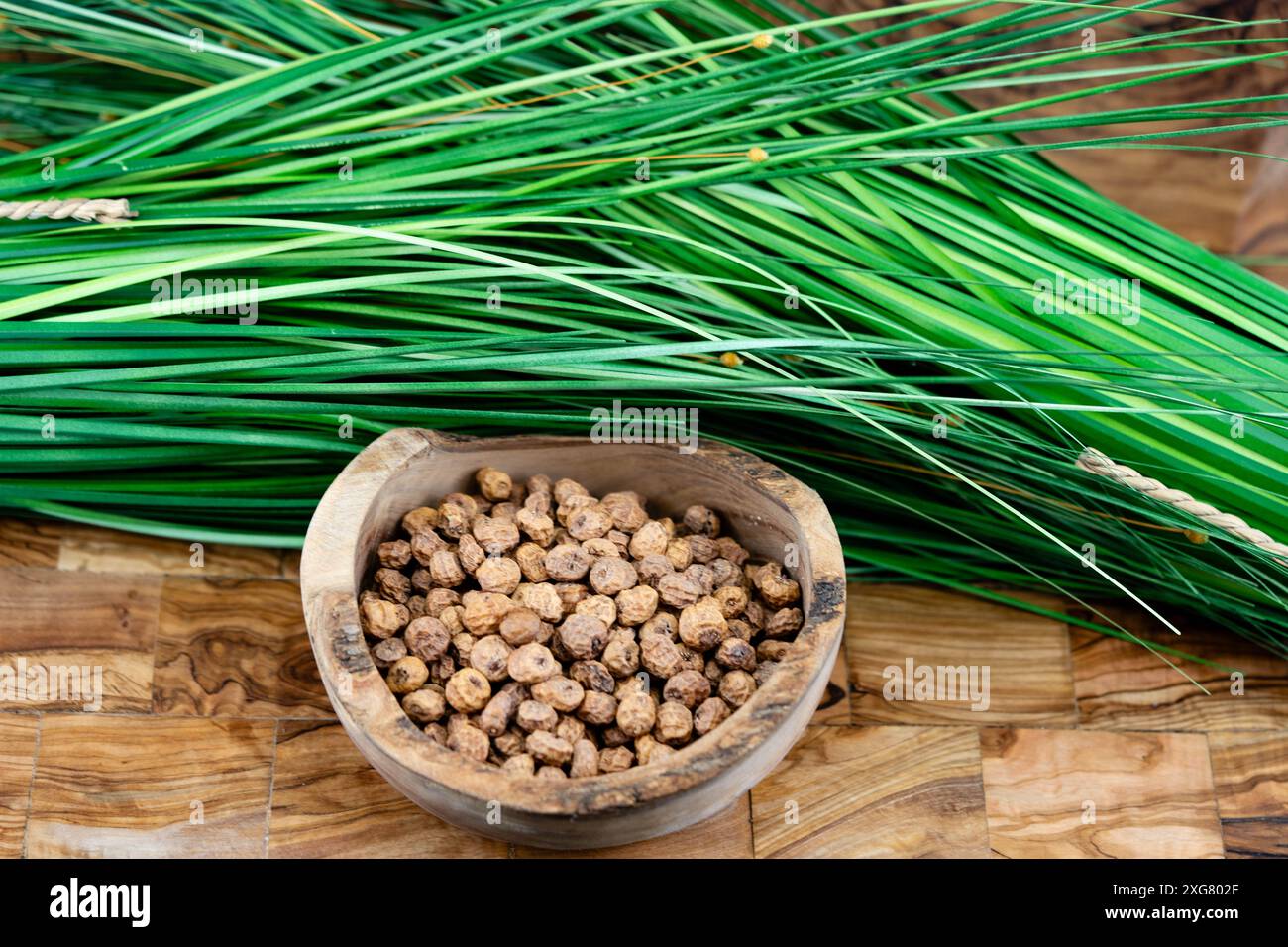Tiger nut plant hi-res stock photography and images - Alamy