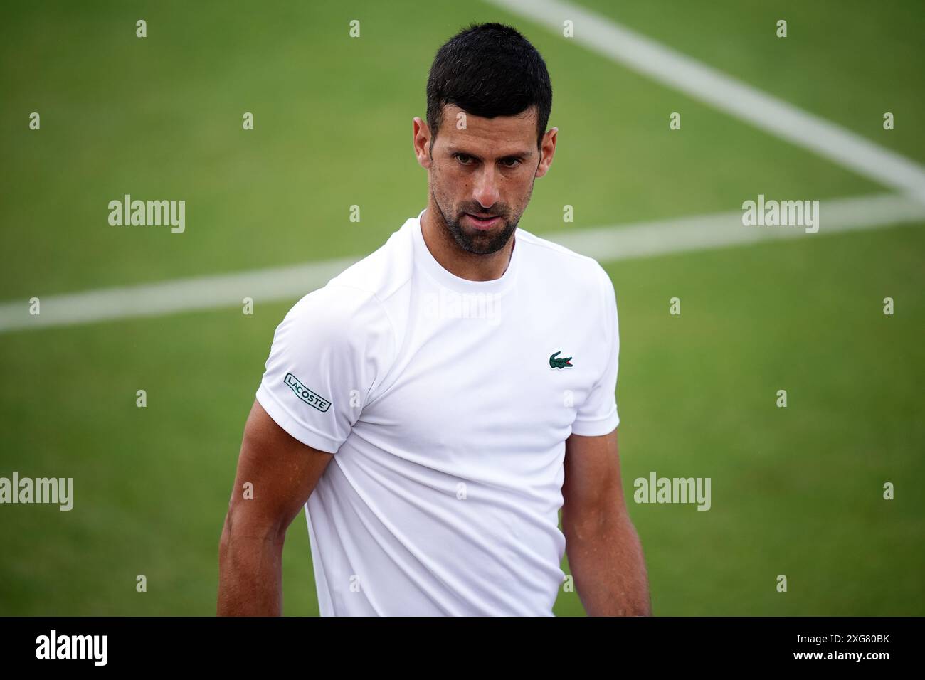 Novak Djokovic on day seven of the 2024 Wimbledon Championships at the ...