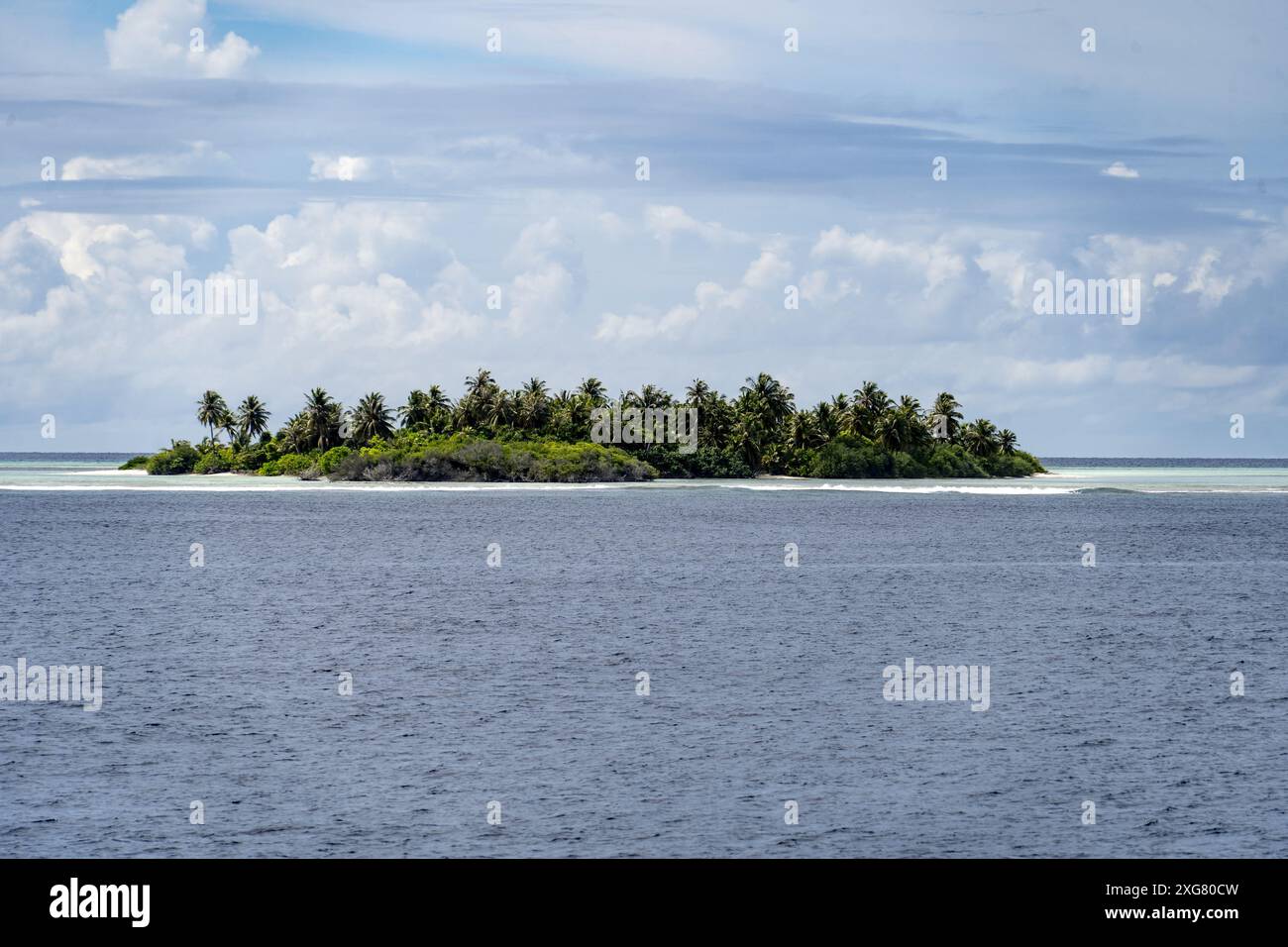 Exotic desert beach in hi-res stock photography and images - Alamy