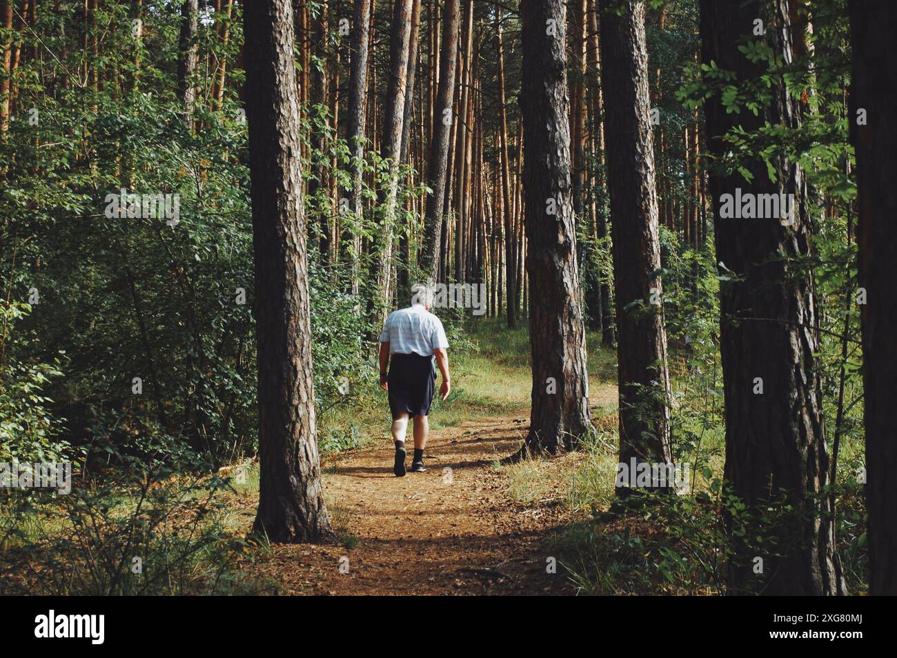 Person walks along forest trail hi-res stock photography and images - Alamy