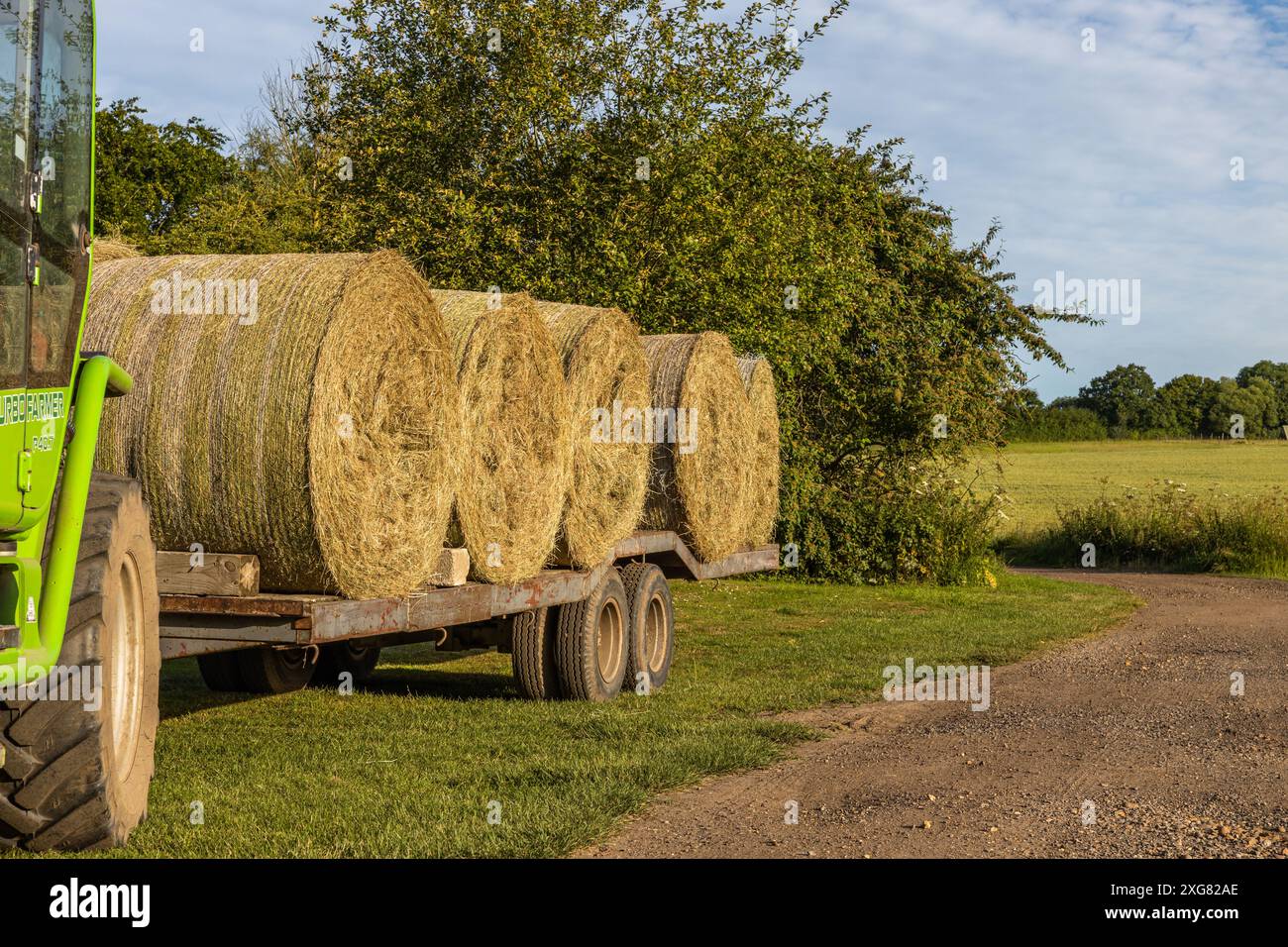 Freshly cut and harvested bales of hay in early July is loaded and ...