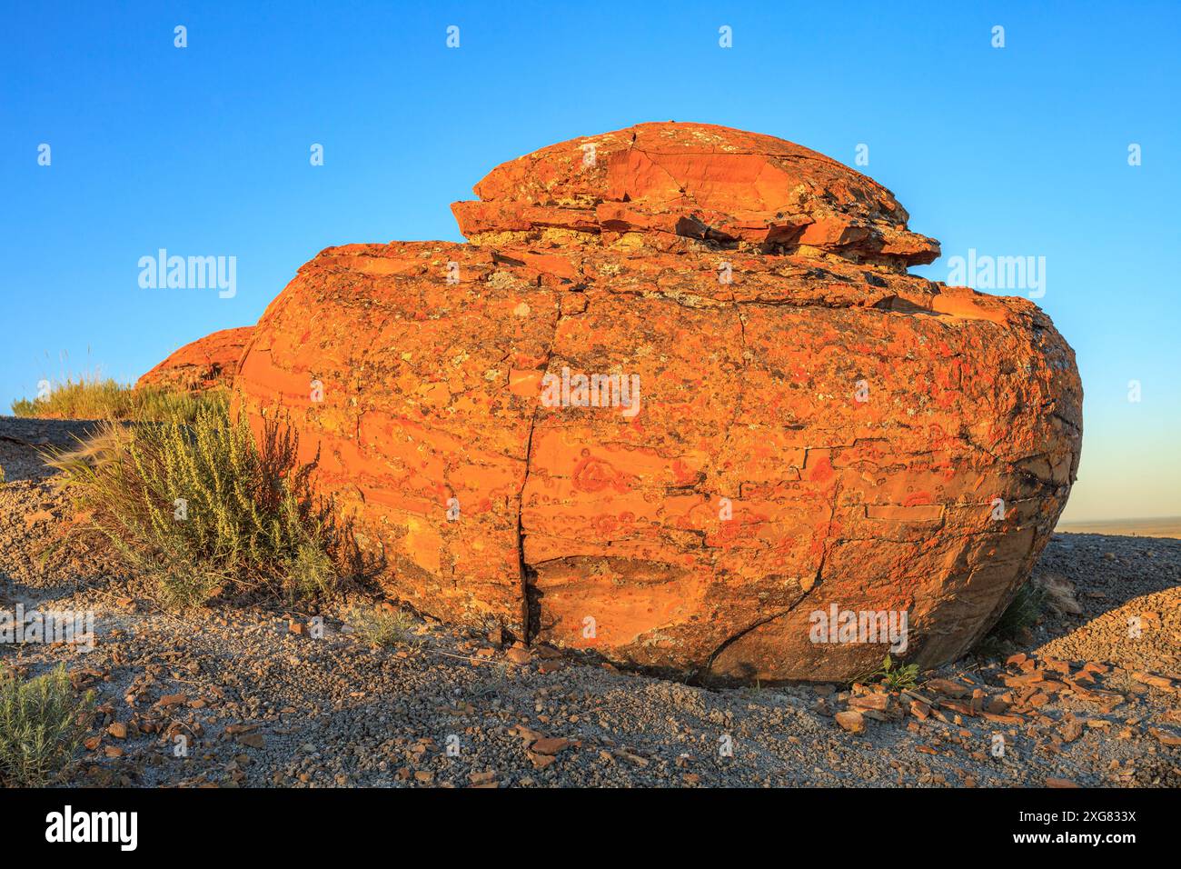 Concretion rock hi-res stock photography and images - Alamy