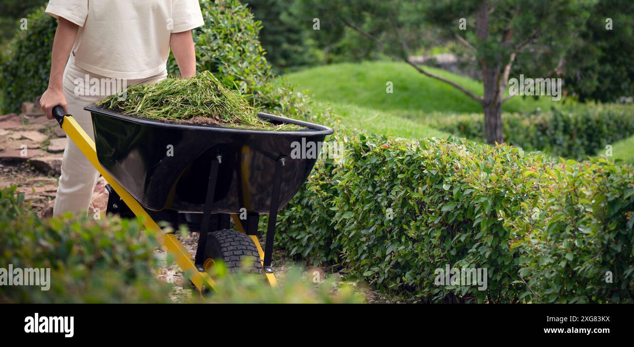 A gardener using a wheelbarrow filled with greenery in a beautifully ...