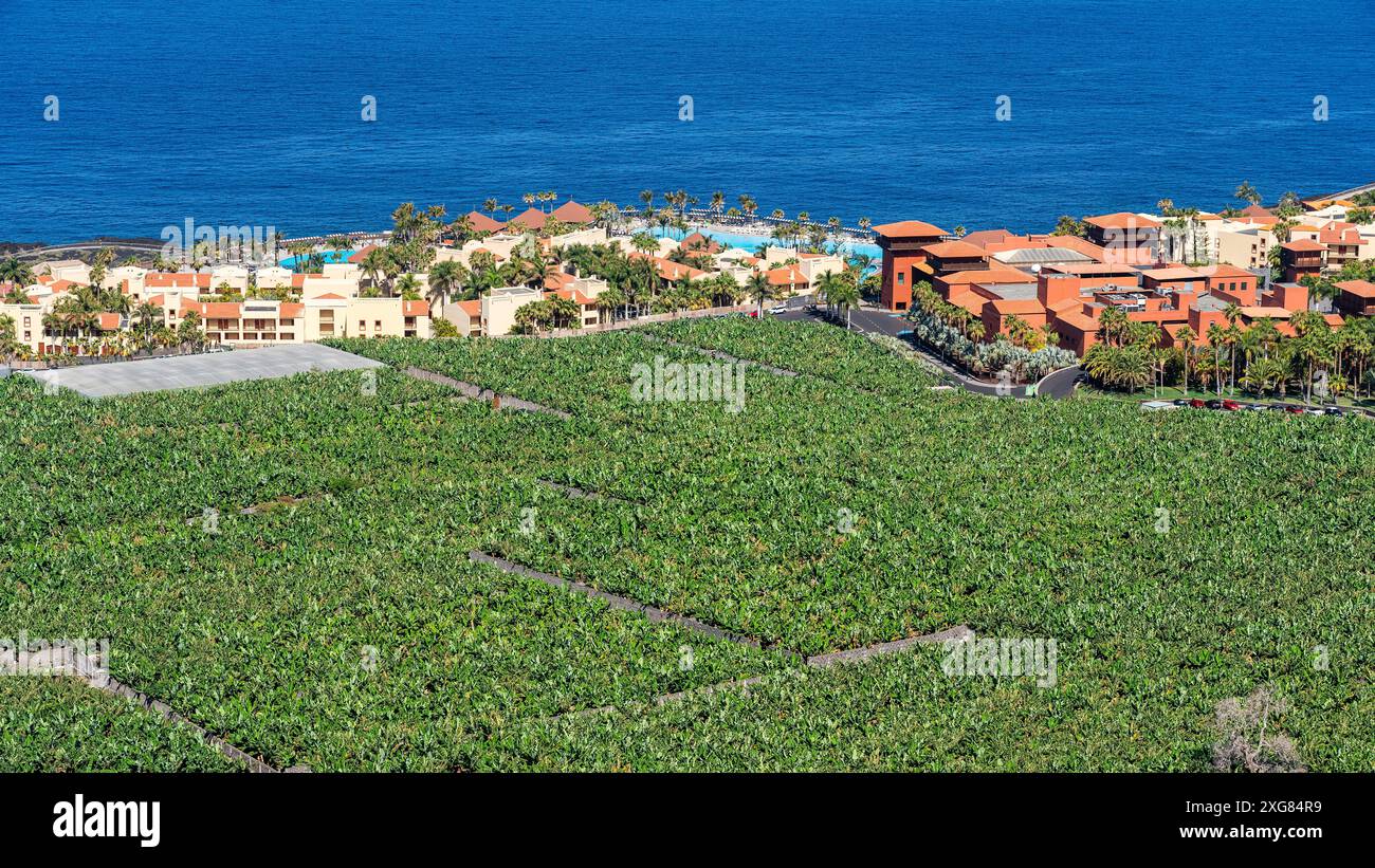 Beautiful green banana plantation seaside hi-res stock photography and ...
