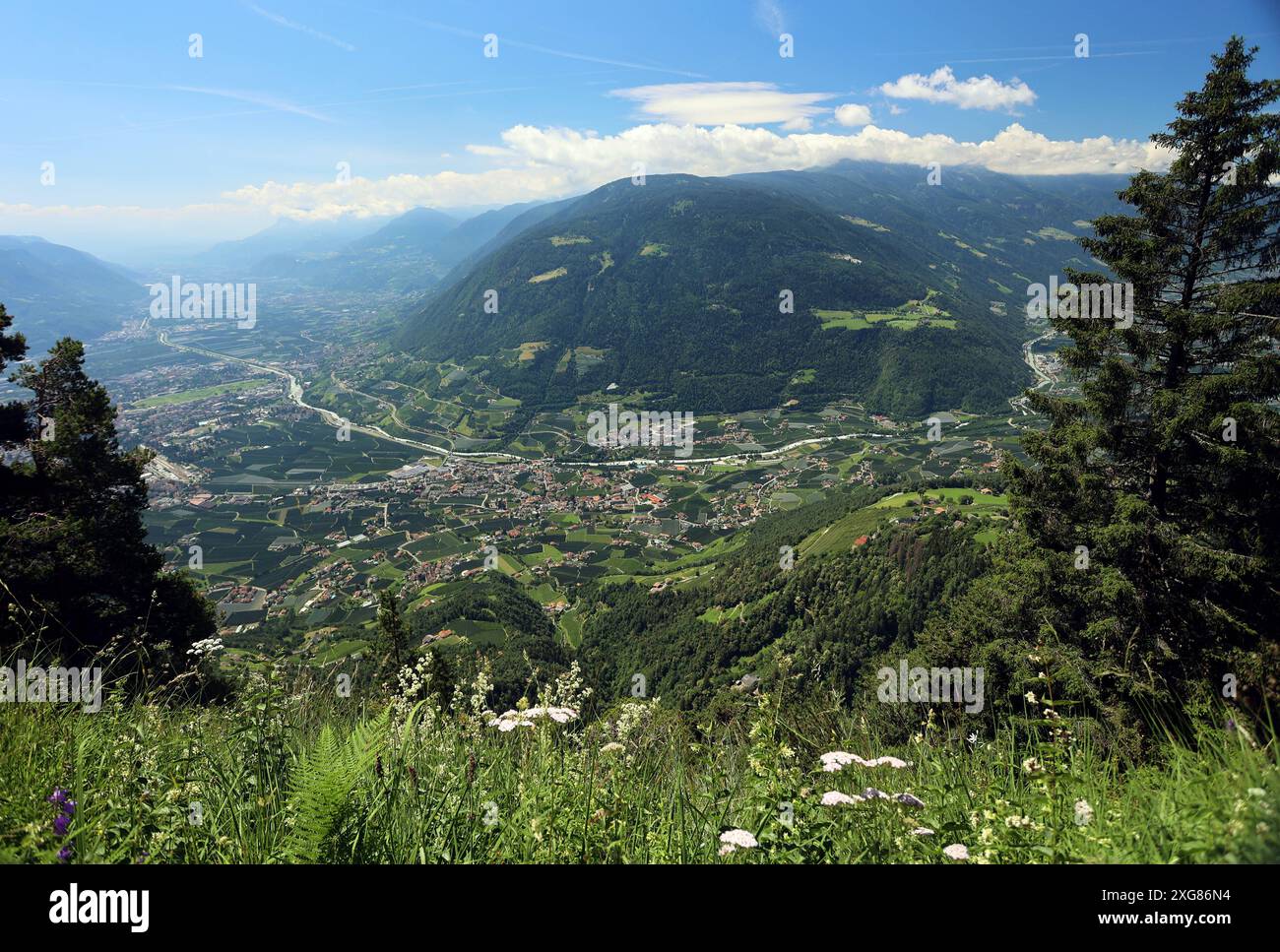 Dorf Tirol, Südtirol, Italien 05. Juli 2024: Hier der Blick oberhalb ...