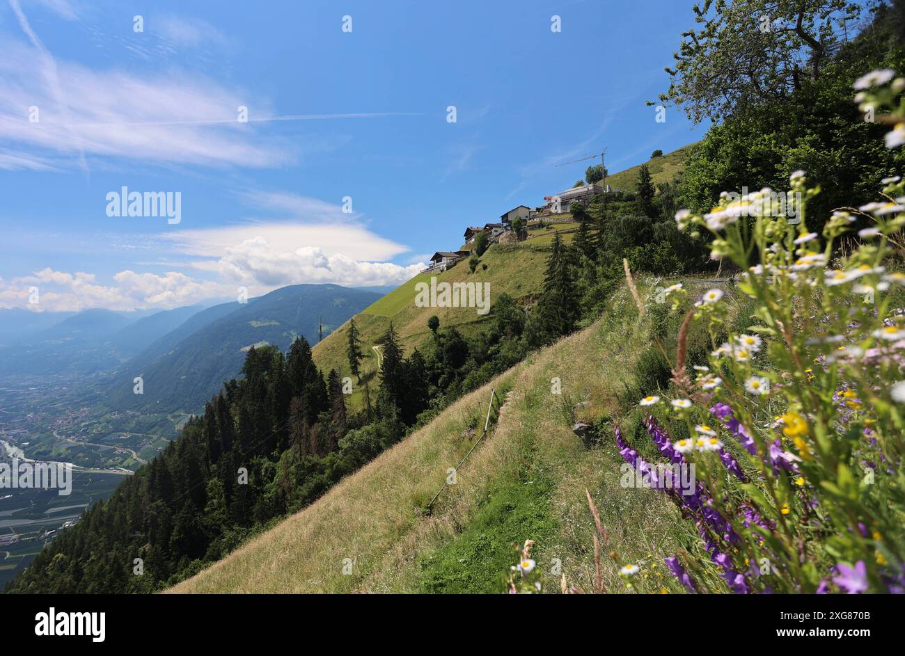 Dorf Tirol, Südtirol, Italien 05. Juli 2024: Hier der Blick oberhalb ...