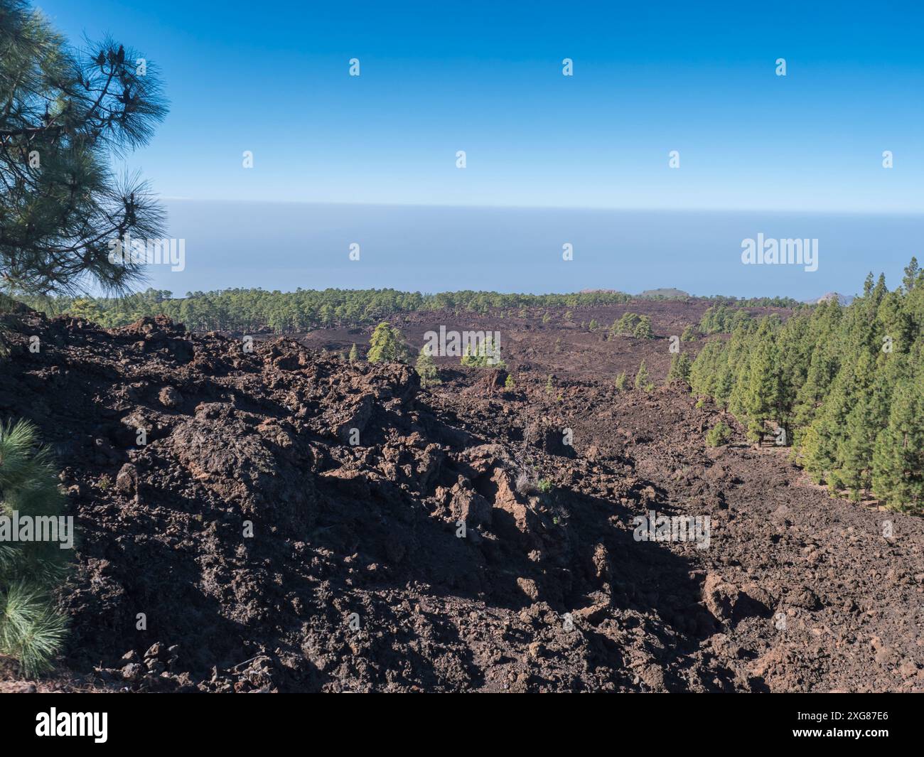 Volcanic landscape at Chinyero volcano circular hiking trail. Black ...