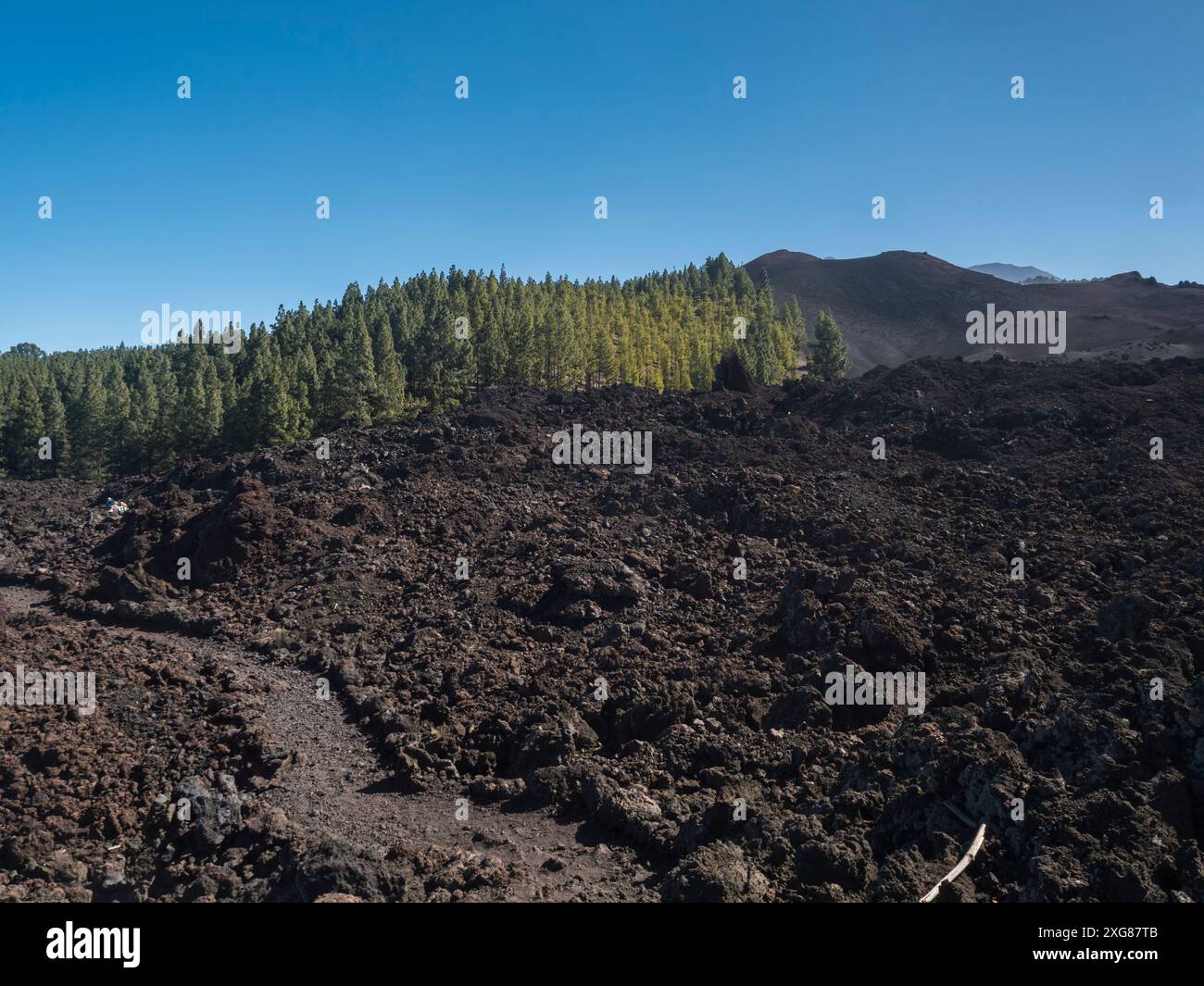 Volcanic landscape at Chinyero volcano circular hiking trail. Black ...