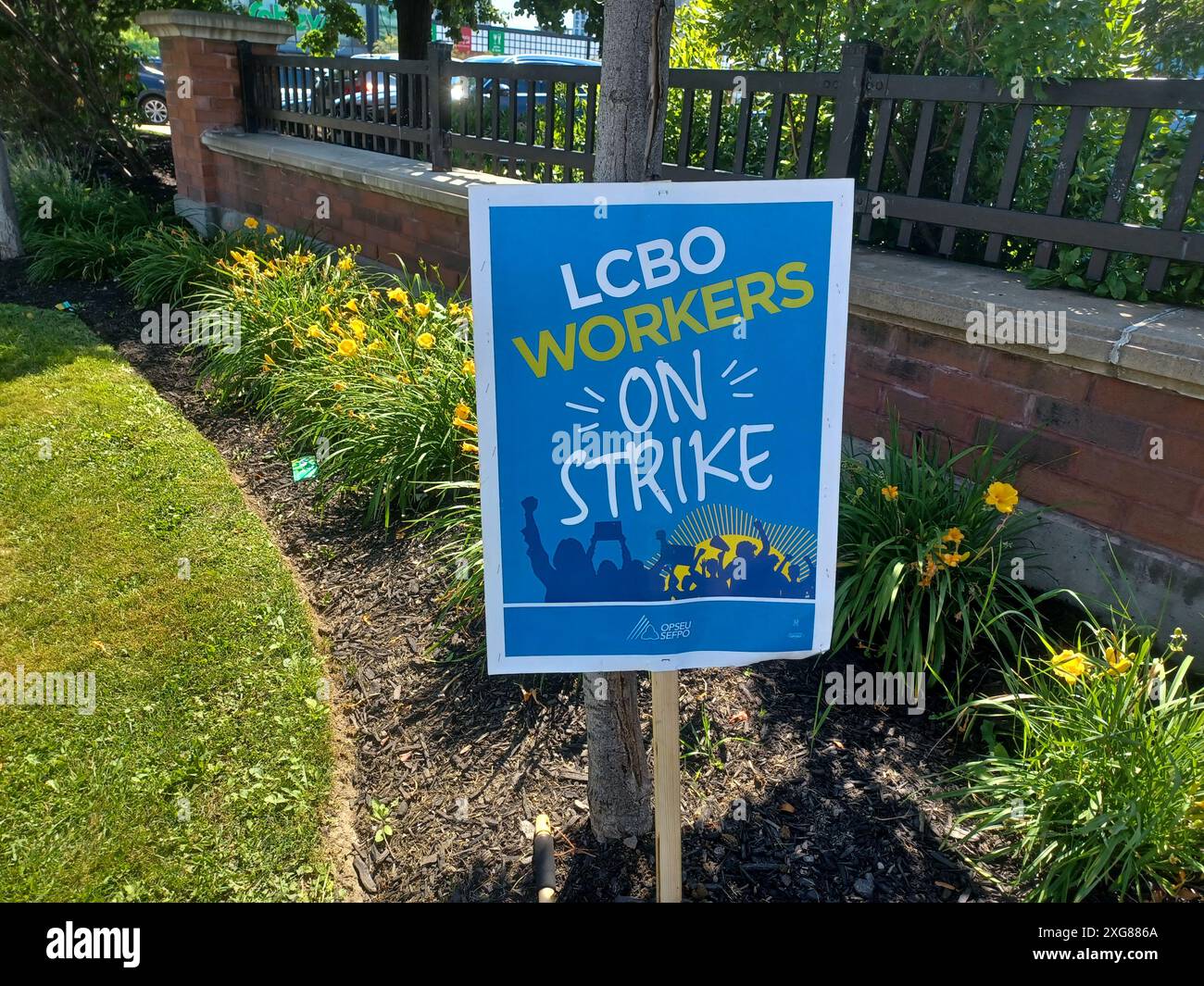 Toronto, ON, Canada - July 7, 2024: LCBO workers in strike with banners ...