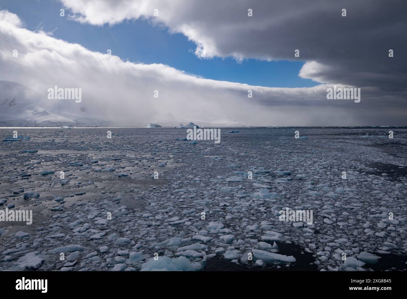 Views around northern tip of Anvers Island, Antarctic Peninsular Stock ...