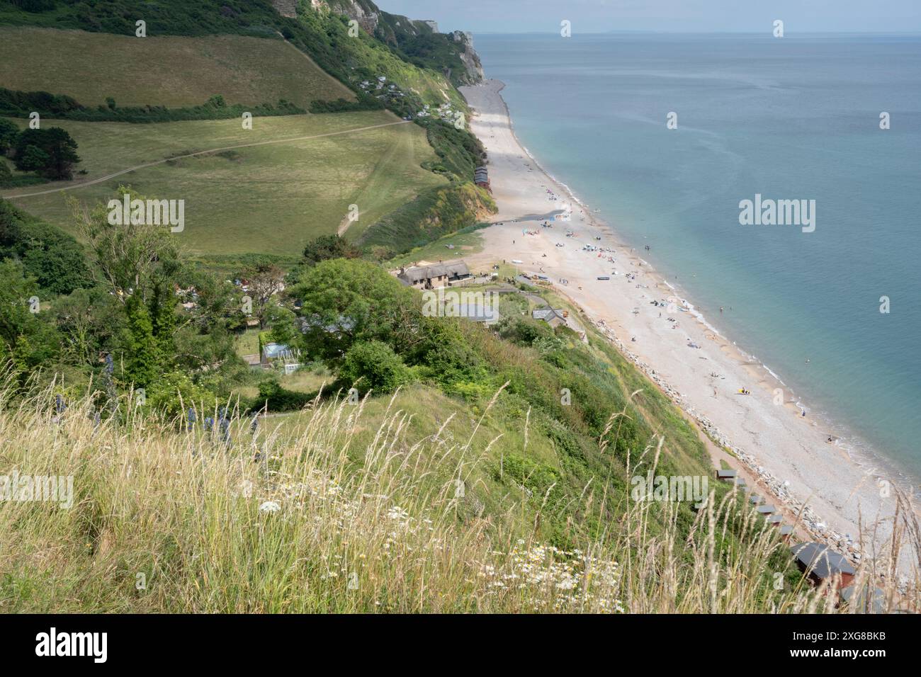 Aerial view of the beach and sea at Branscombe Mouth on the East Devon ...