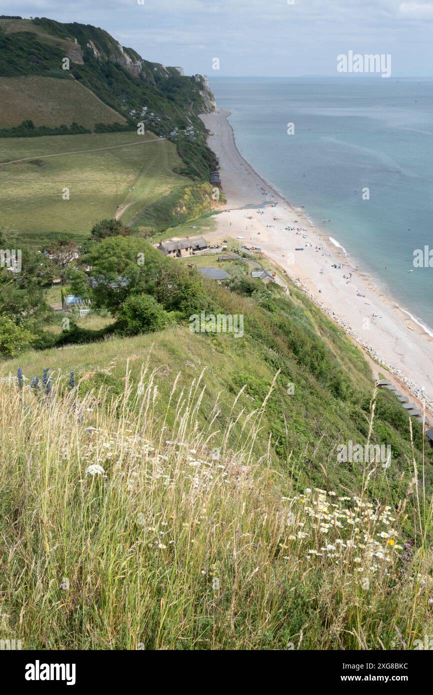 Aerial view of the beach and sea at Branscombe Mouth on the East Devon ...