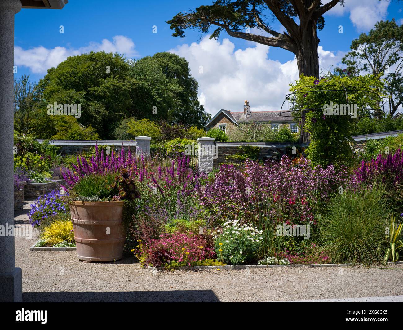 COURTYARD GARDEN TREBAH SUB TROPICAL GARDENS PALM TREES GLOBE THISTLE ...
