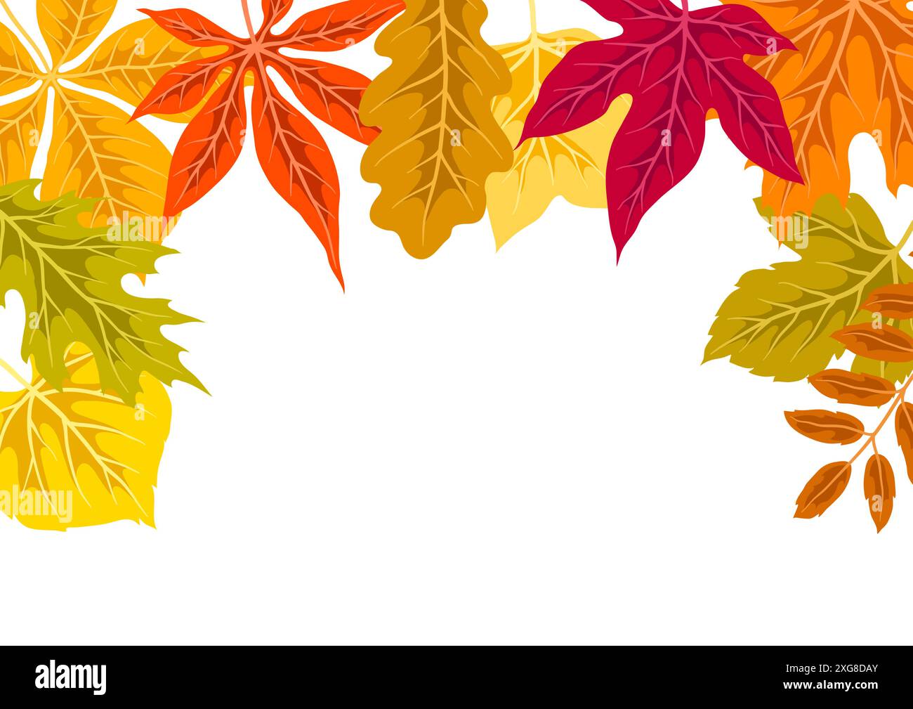 Background with autumn leaves. Illustration with various foliage Stock ...