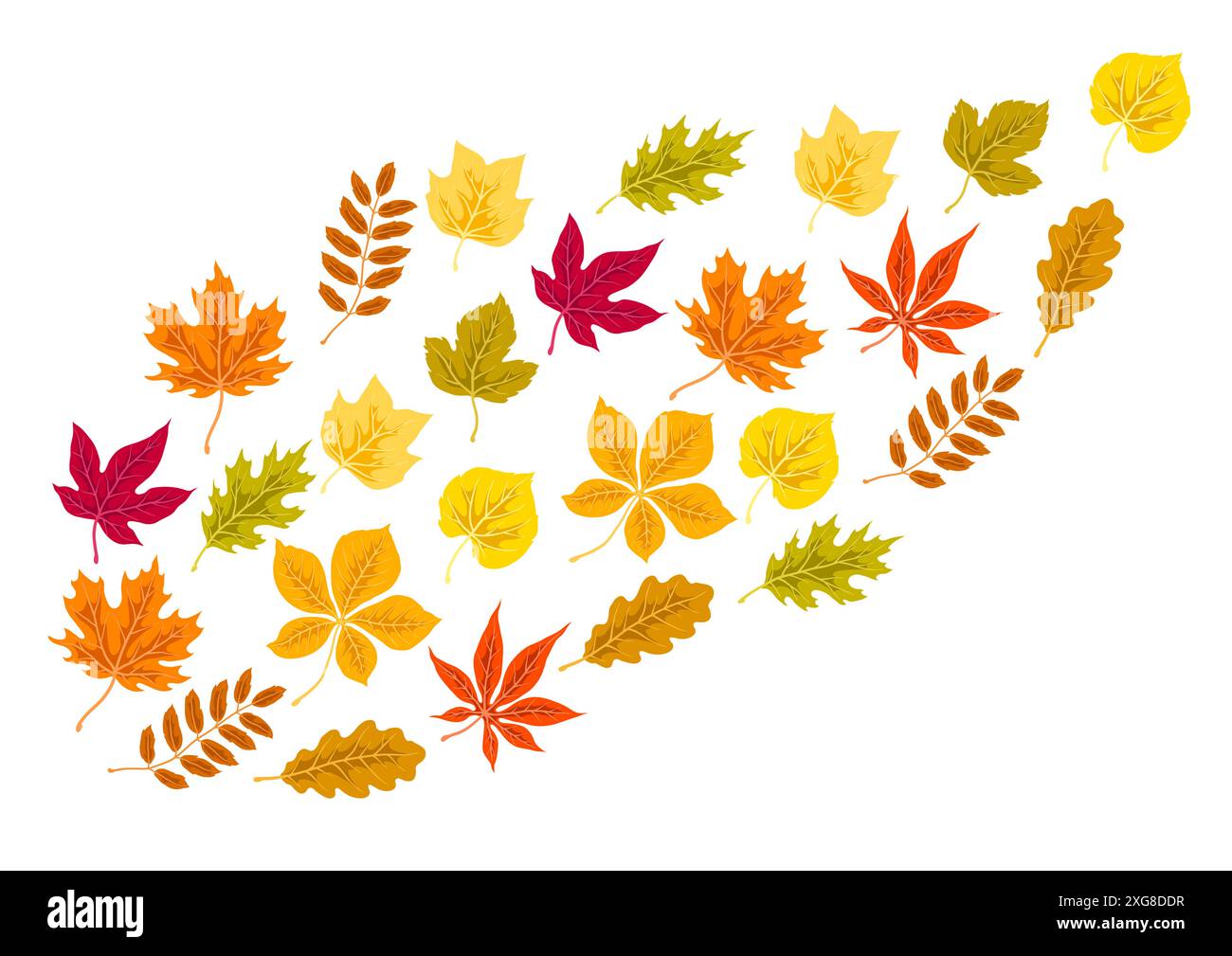 Background with autumn leaves. Illustration with various foliage Stock ...