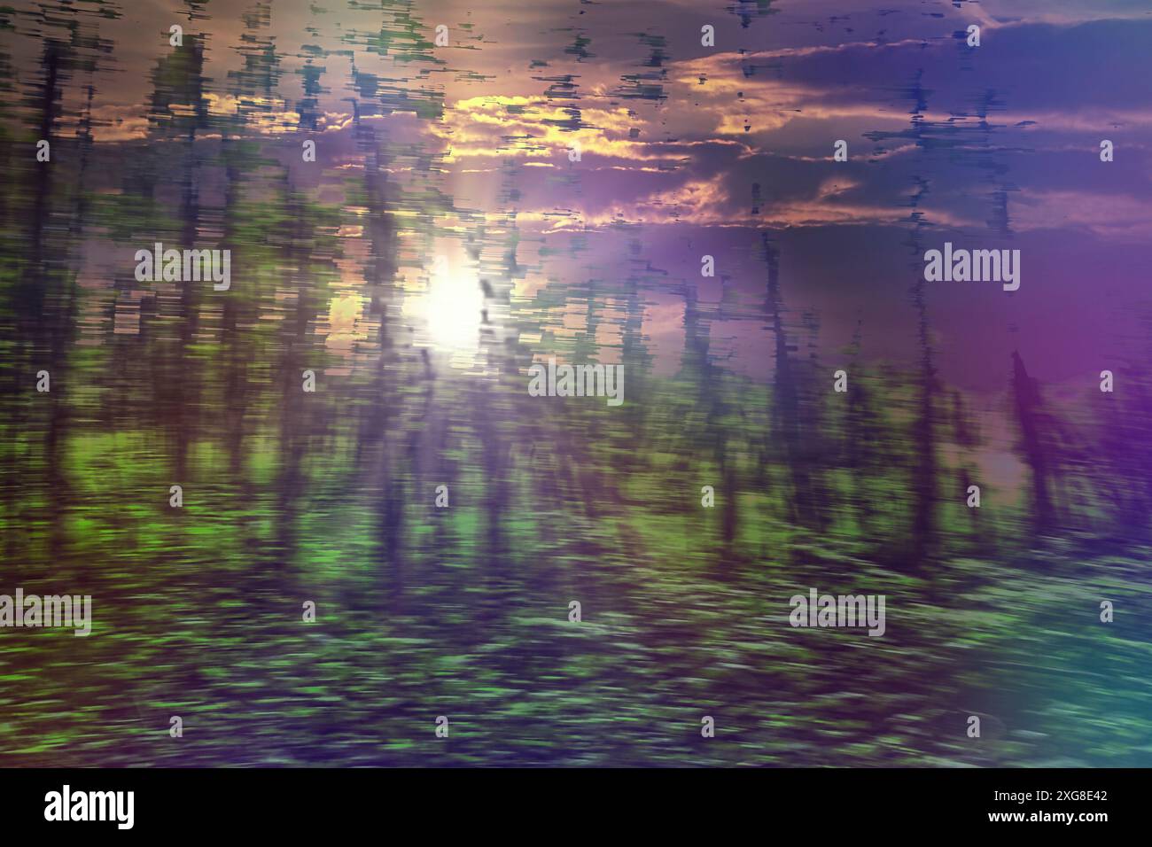 Moving forest scene Stock Photo - Alamy