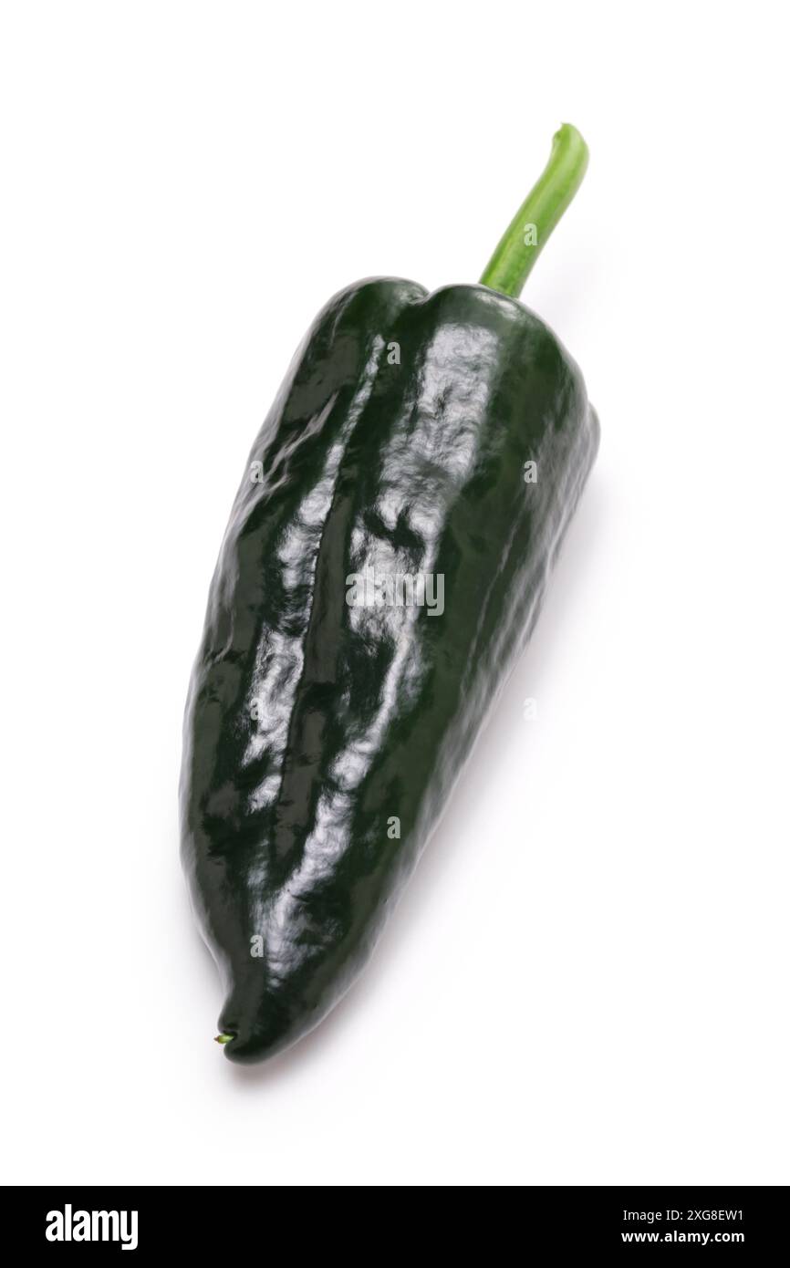 fresh Mexican poblano chile isolated on white background Stock Photo ...