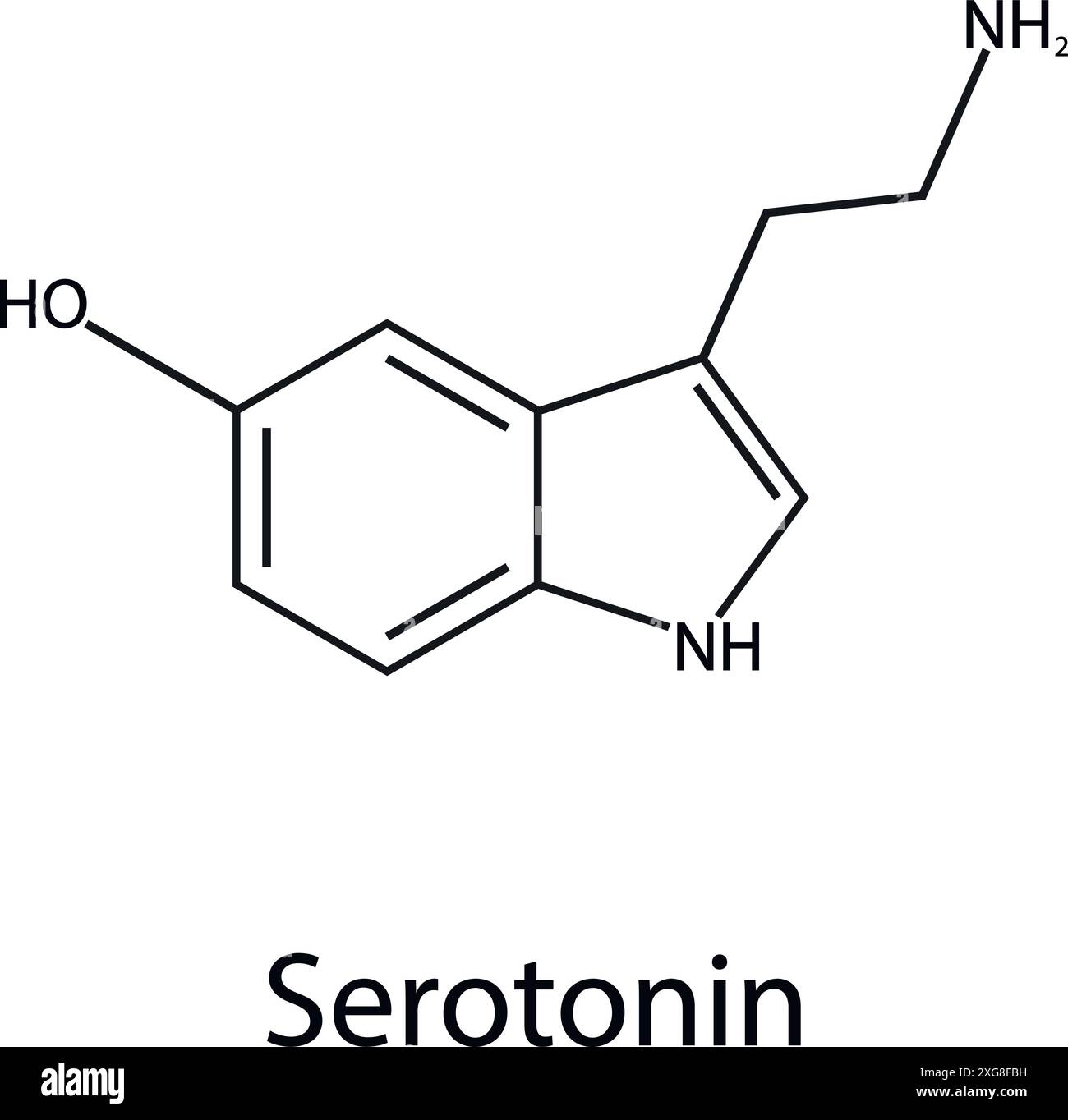 Serotonin neurotransmitter molecular model serotonin hi-res stock ...
