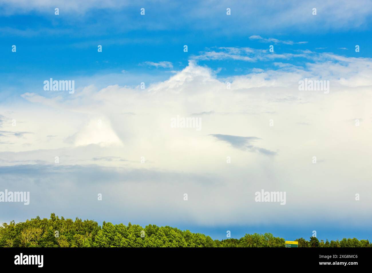 Tree tops above cloud clouds hi-res stock photography and images - Alamy