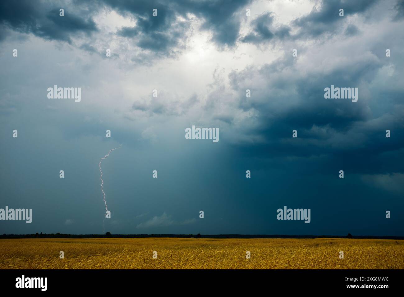 Dazzling lightning display brightening the nighttime with vibrant bolts ...