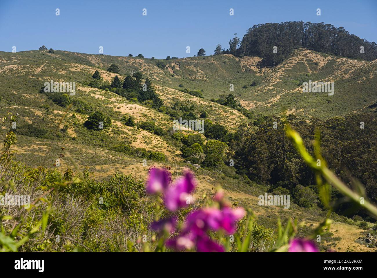 The view on the top of mountain in Marin Headlands, California Stock ...