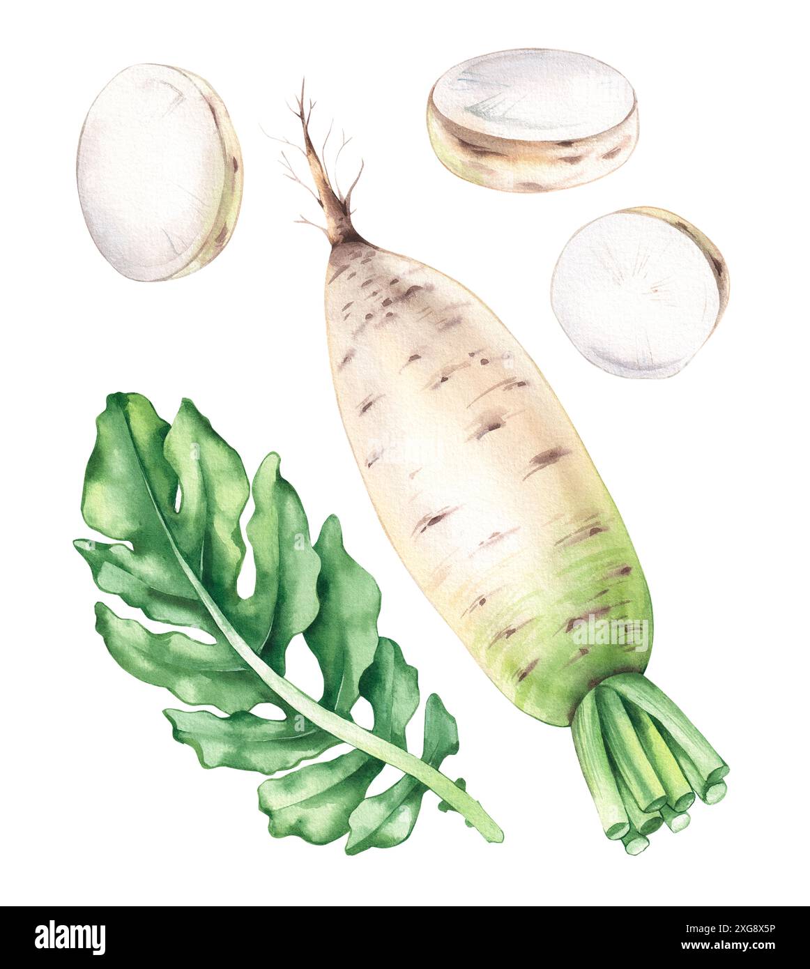 Organic packaging graphics hi-res stock photography and images - Alamy