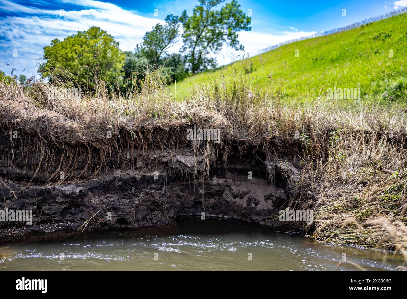Soil erosion at drop off into a creek showing exposed roots and dirt ...