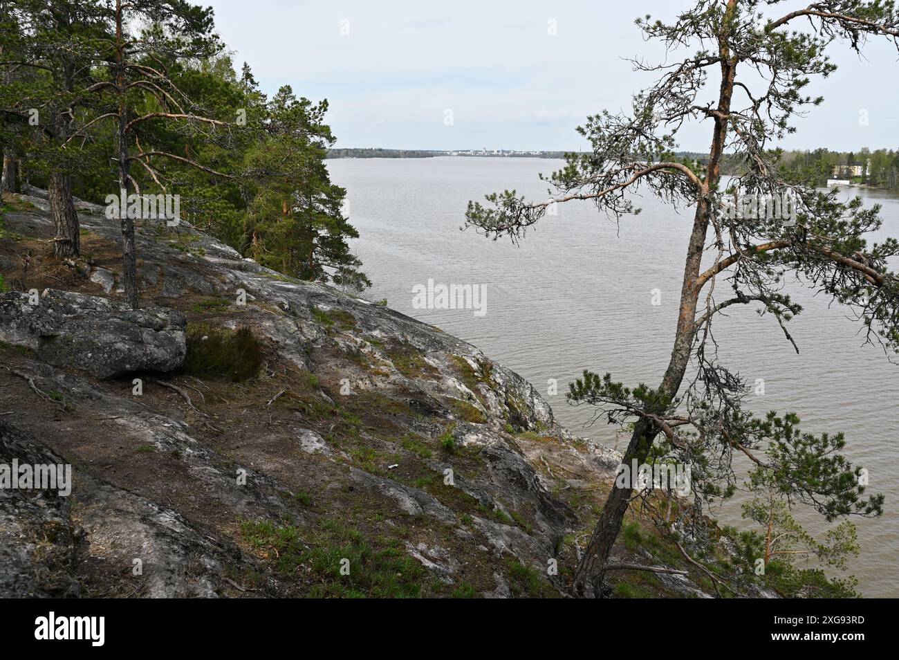 Dense evergreen coastal view hi-res stock photography and images - Alamy