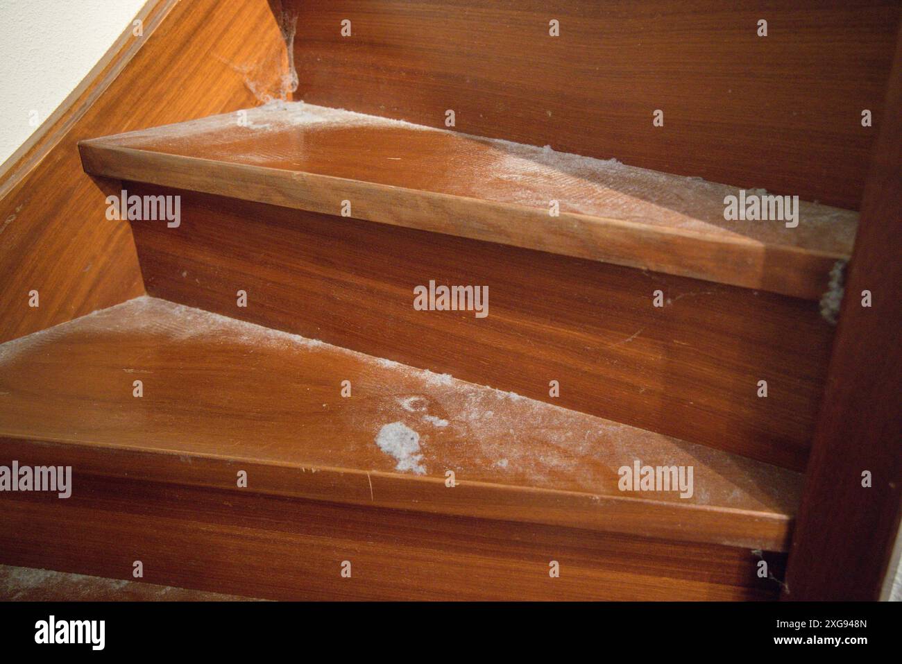 Heavy dust (dust bunnies) and dust piles on steps of wooden stairs ...