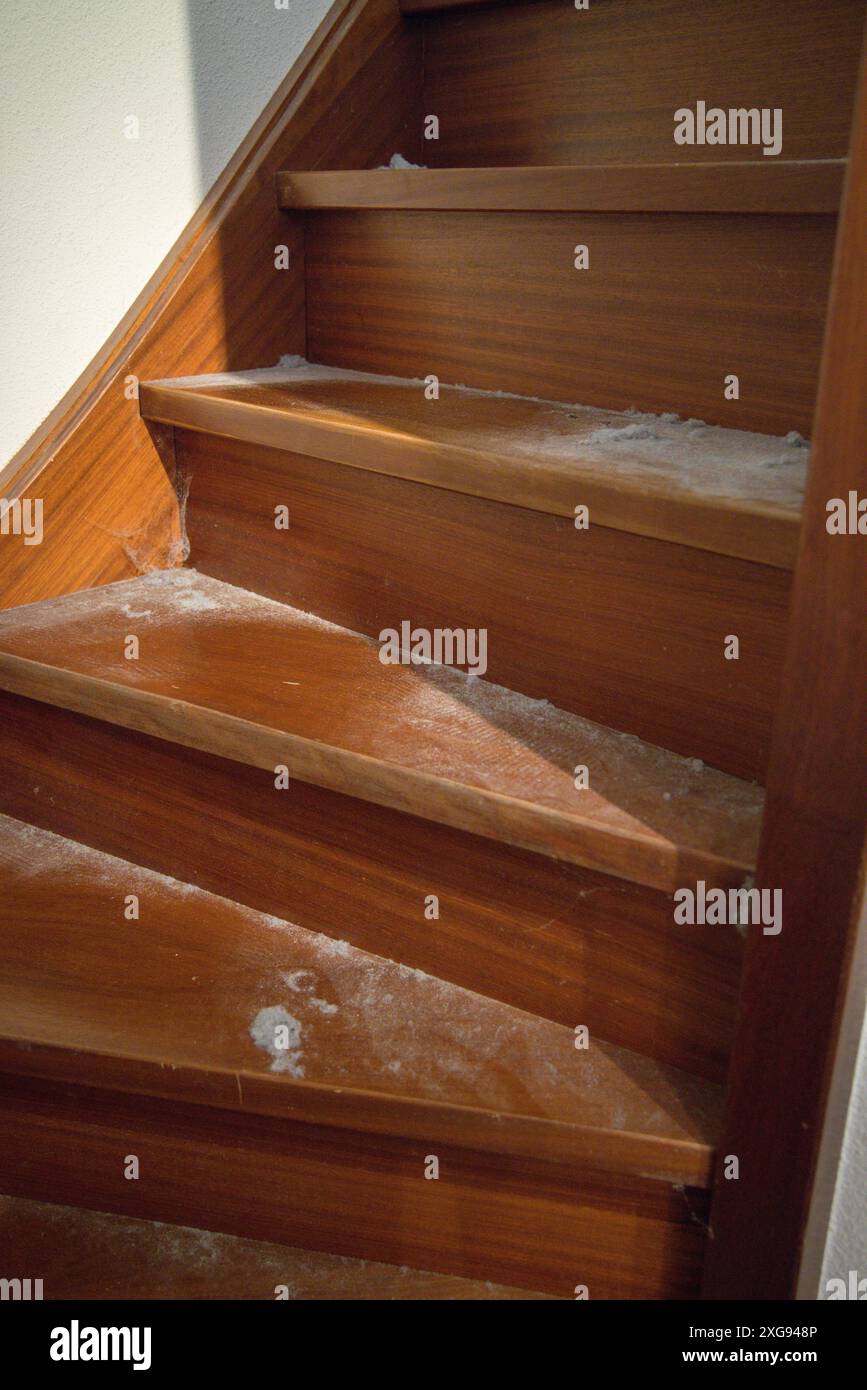 Heavy dust (dust bunnies) and dust piles on steps of wooden stairs ...