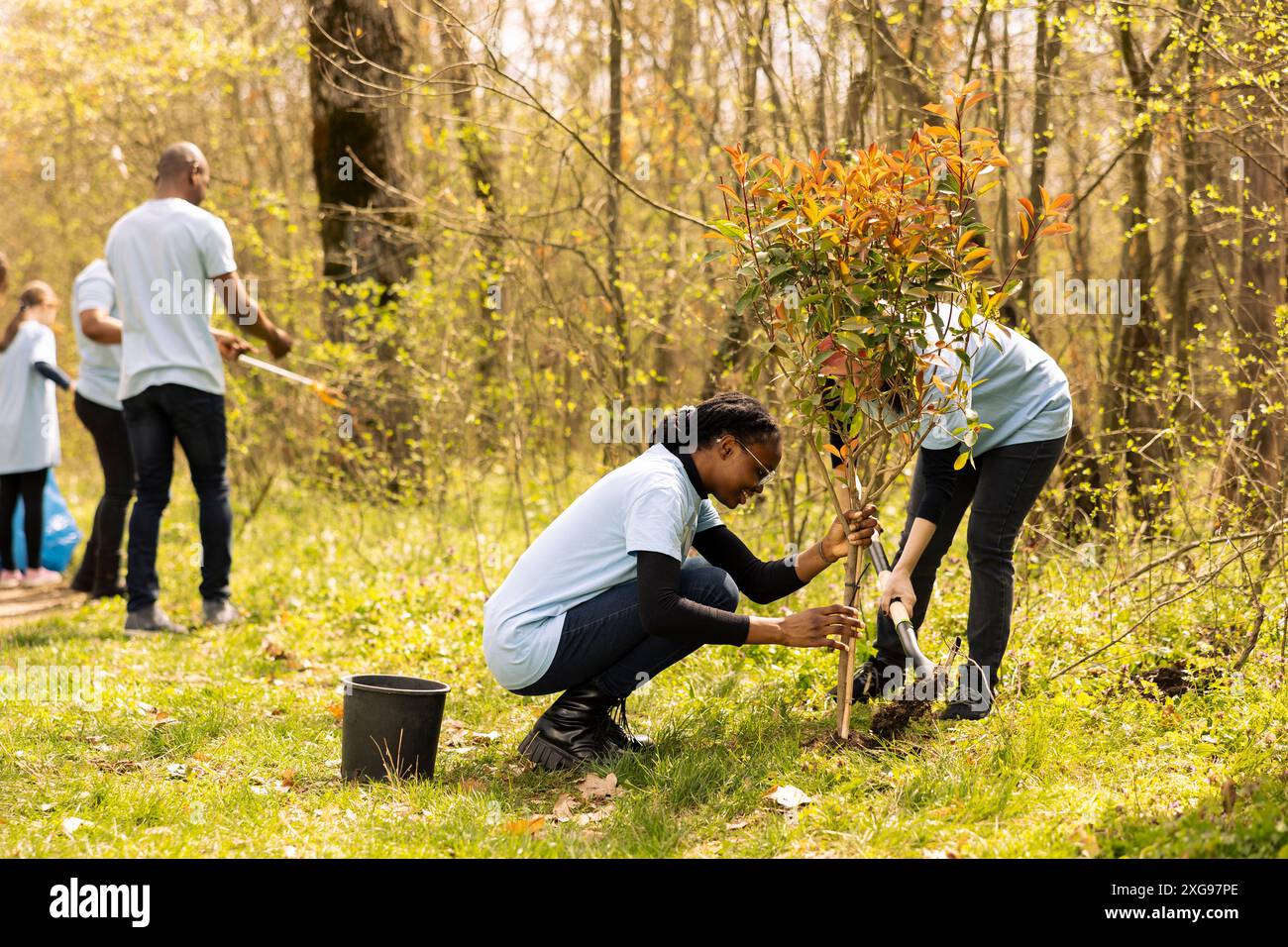 Team of two activists doing voluntary work to plant trees in the forest ...