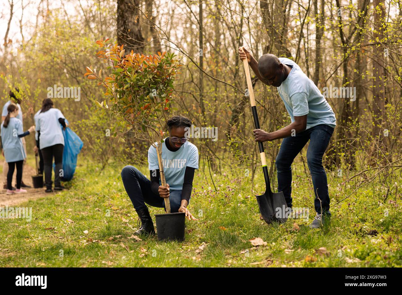 Team of volunteers planting trees to preserve natural ecosystem and ...