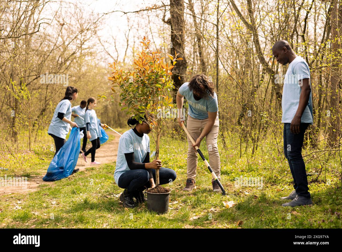 Volunteers team doing community service activities to plant trees ...