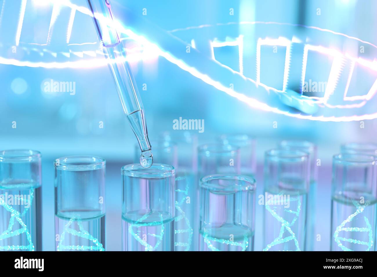 Illustrations of DNA and test tubes with samples, double exposure Stock ...