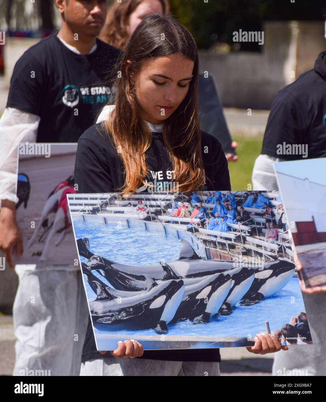 London, UK. 7th July 2024. An activist holds a picture of captive orcas ...