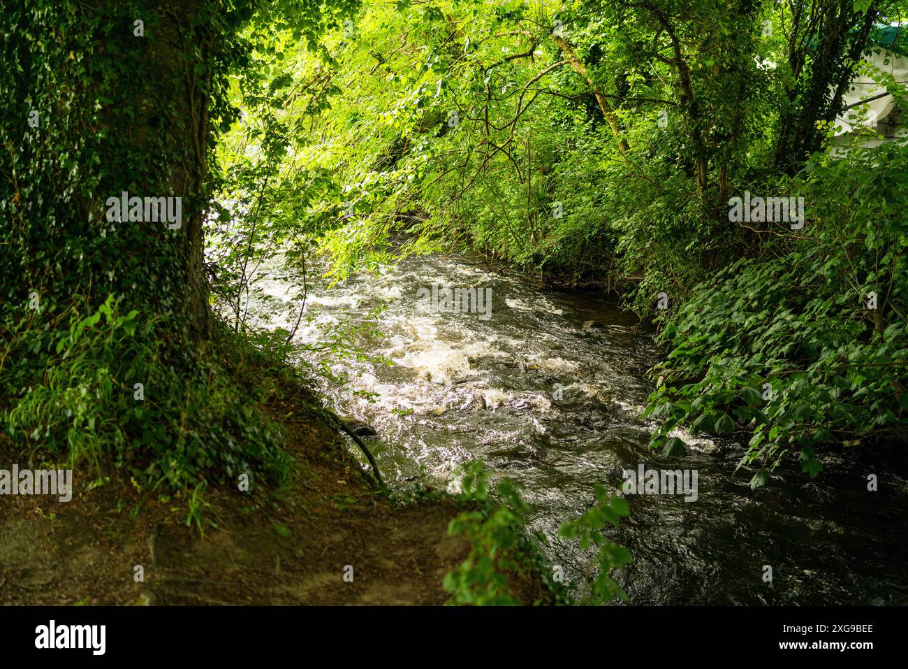 The Living Bridge, University of Limerick Campus Stock Photo - Alamy