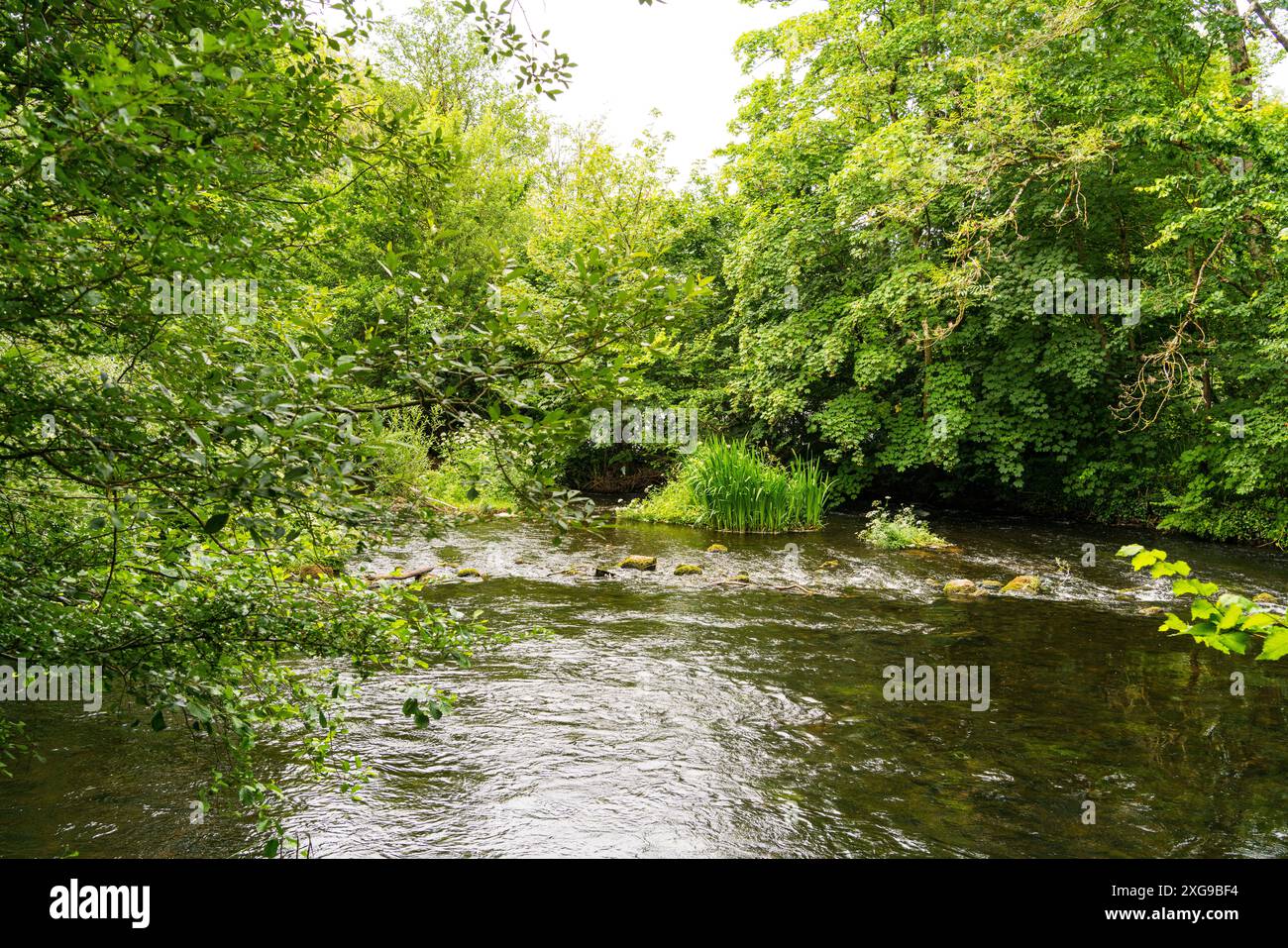 The Living Bridge, University of Limerick Campus Stock Photo - Alamy