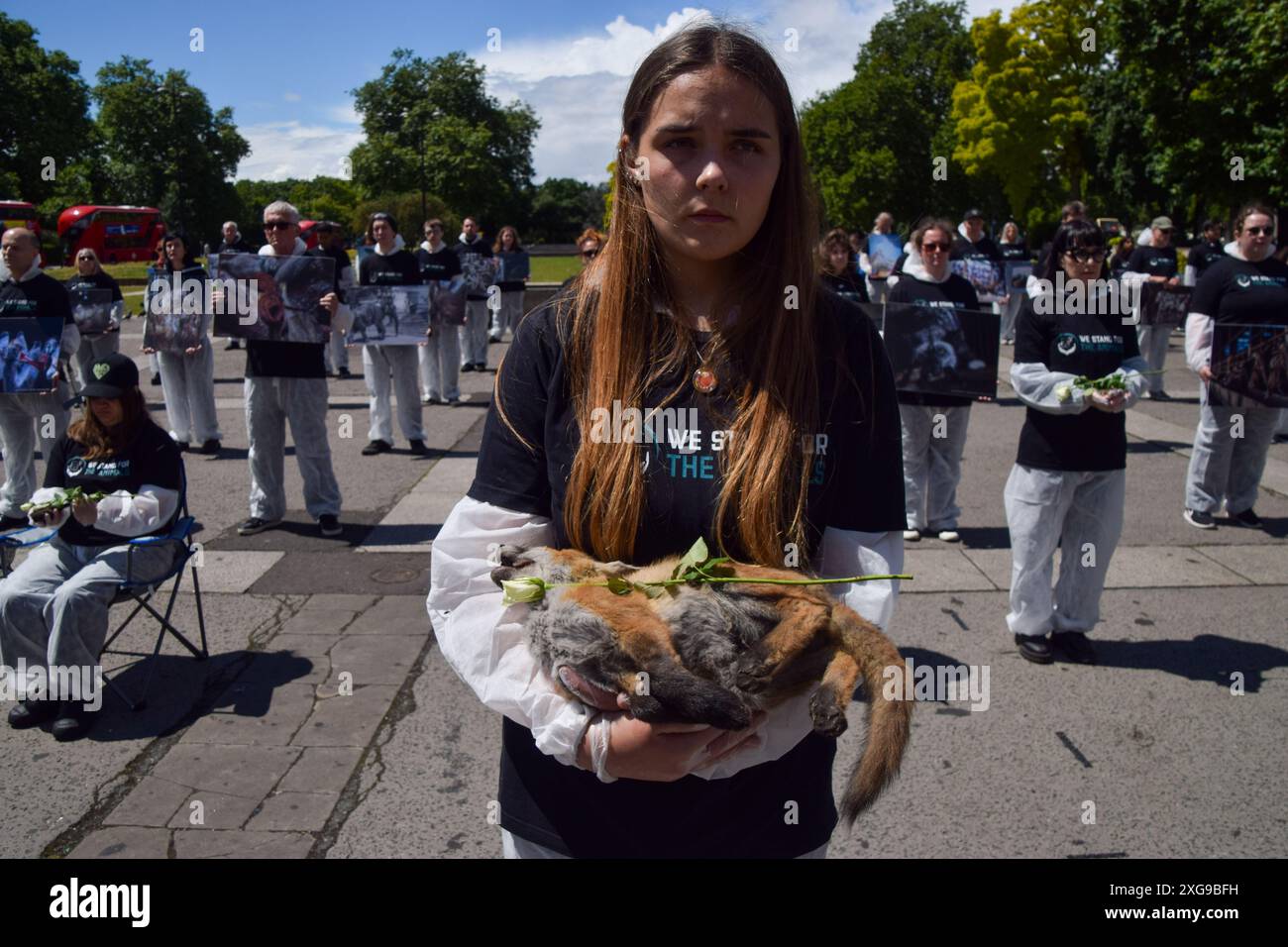 London, UK. 7th July 2024. An activist holds a dead fox. Animal rights ...